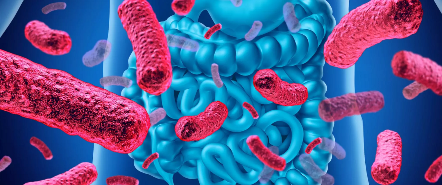 The Most Important Thing You Have Never Learned About Probiotics – Durable