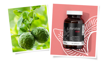 Premium Supplements to Lower Cholesterol & Improve Heart Health - Durable™