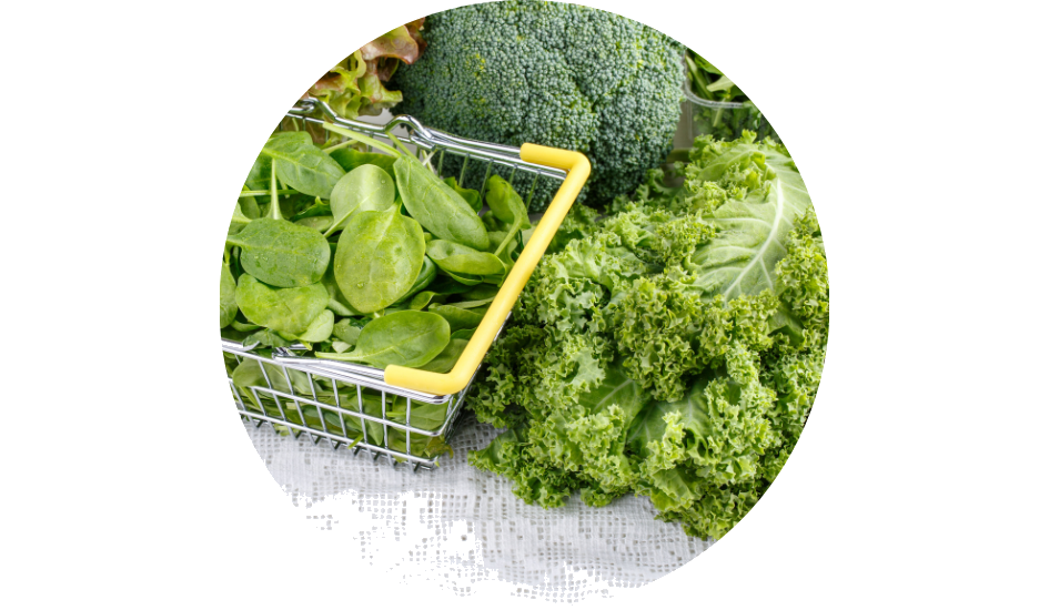 Durable VISION® - Optimal Eye Health & Macular Protection